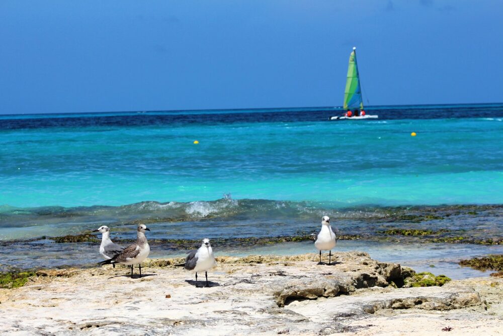 CONHEÇA O MAR AZUL-TURQUESA DE CANCUN